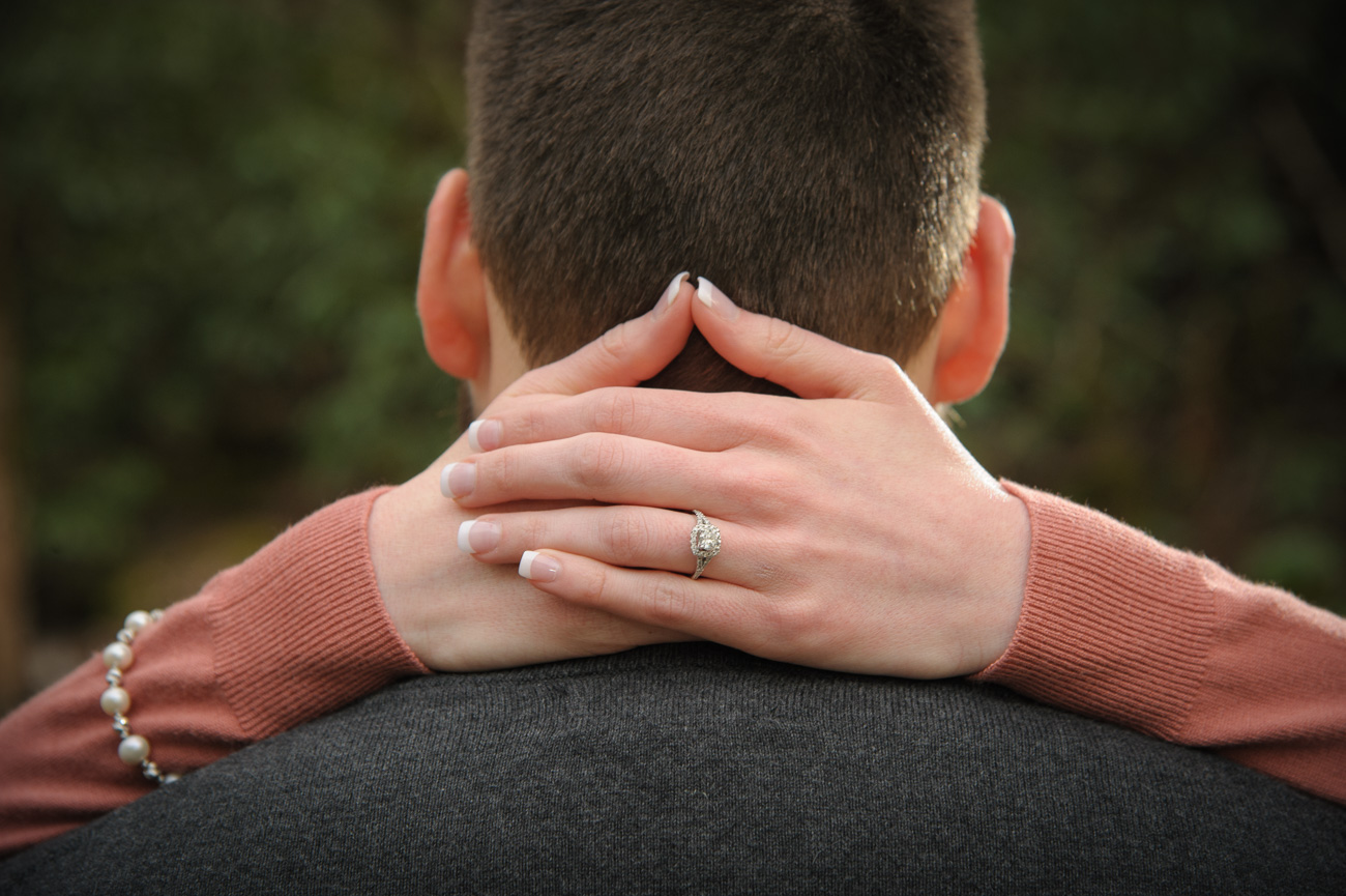 Smoky Mountain Engagement Portraits and proposal sessions